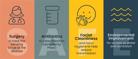 What Is Trachoma Cure Blindness Project