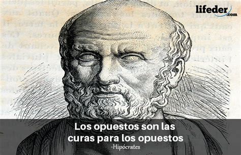 Las 105 Mejores Frases De Hipócrates Lifeder