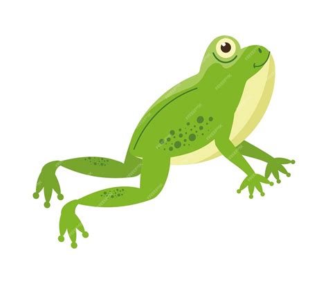 Free Vector Cute Toad Mascot