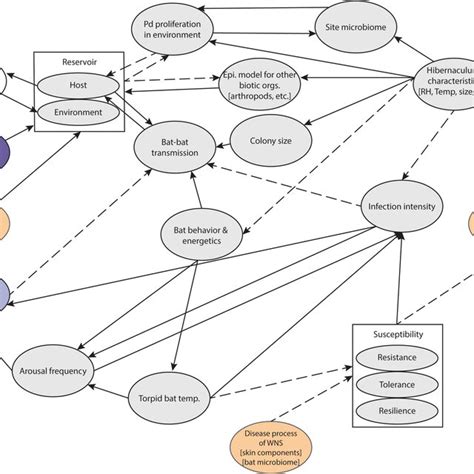 Epidemiology Sub‐diagram Nodes Grouped Within Boxes I E “reservoir” Download Scientific