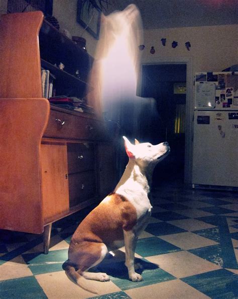 Bellesf Magazine Huge Thanks To Our Advertiser Image Comics Located