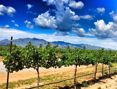 Passion Cellars Scottsdale Az