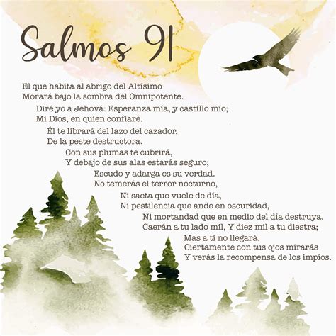 Lienzo Canvas Salmo 91 Águila Palabra De Dios