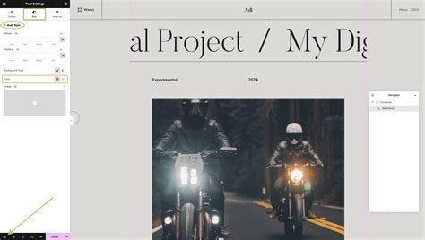 Editing Pages And Posts Asli