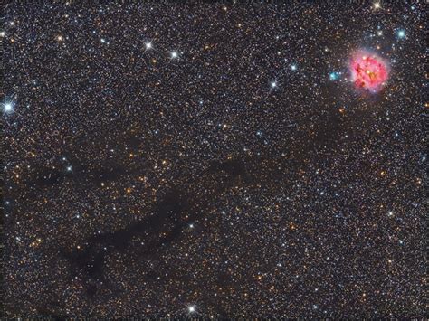 Cocoon Nebula Antonucci Trungadi Astrobin