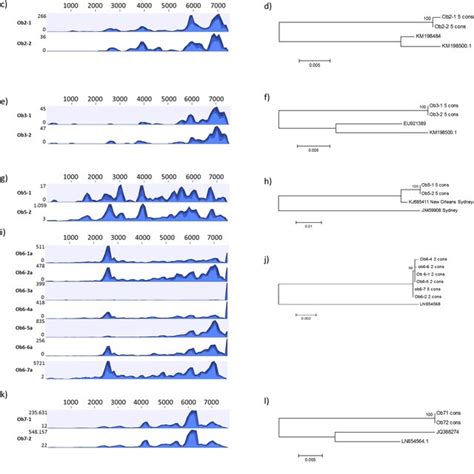 Genome Coverage And Phylogenetic Comparison Genome Coverages Are Shown Download Scientific