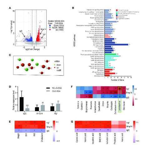 Transcriptome Sequencing Validation And Correlation Analysis Of Download Scientific Diagram