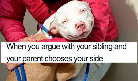 Spank Tastic Laughter Funniest And Creative Spank Memes