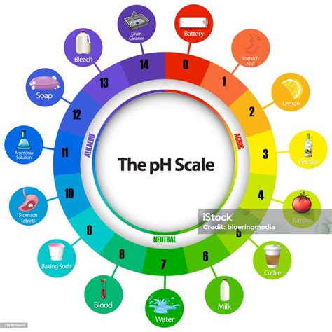 Vetores De Diagrama Que Mostra A Escala Do Ph E Mais Imagens De