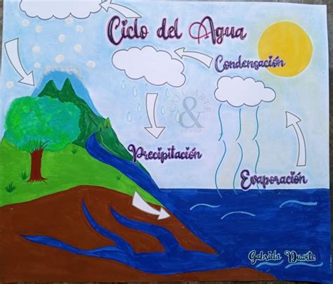 Ciclo Del Agua Ciclo Del Agua Agua Escolares