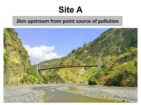 Benthic Macroinvertebrates As The Bioindicators Of Freshwater Polluton
