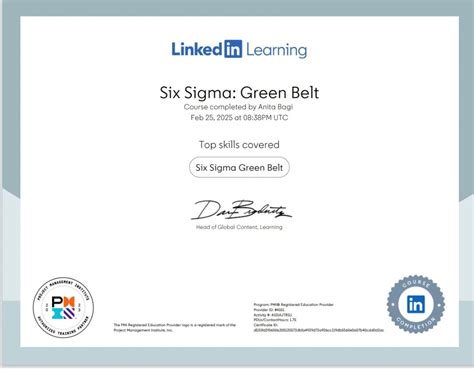 Projectmanagement Sixsigma Processoptimization Anita Bagi