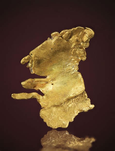 Gold Specimens Stellarrite