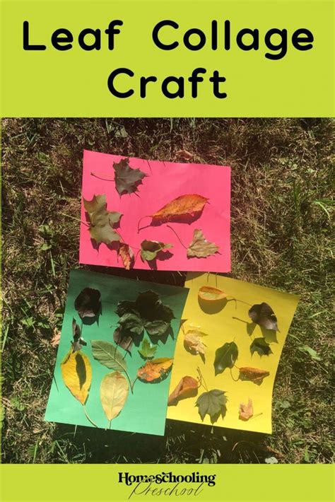 Leaf Collage Craft Homeschooling Preschool