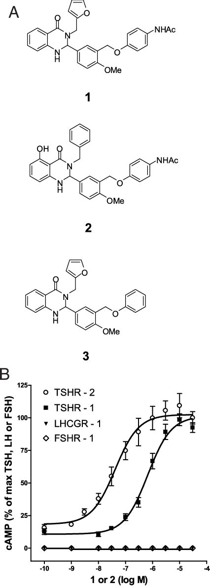 Figure 1 From Small Molecule Agonists For The Thyrotropin Receptor