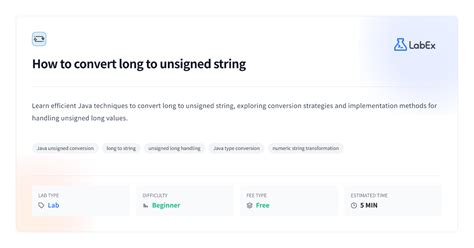 How To Convert Long To Unsigned String Labex