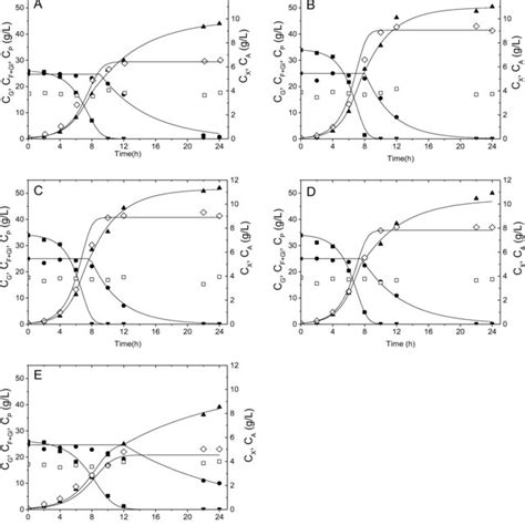 Experimental Data Points And Kinetic Model Predictions Lines For Download Scientific