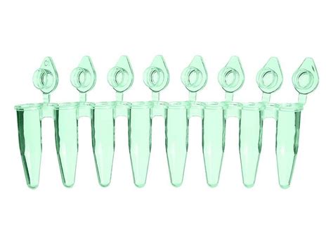 Educate Me Lee Jay Lowenstein