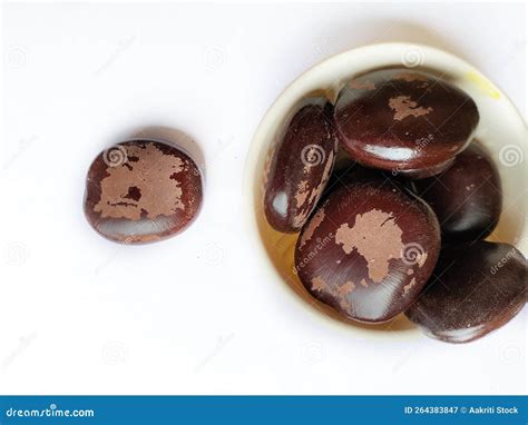 Seeds Of Entada Scandens Ayurvedic Herb Stock Image Image Of Entada