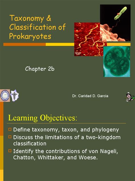 Micro Ch 2b Taxonomy Pdf Cell Biology Taxonomy Biology