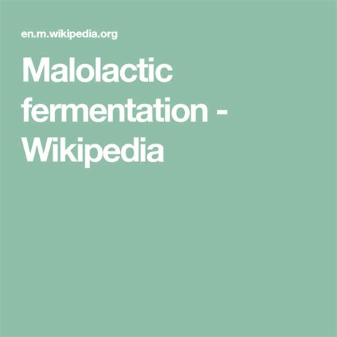 Malolactic Fermentation In Wine Production