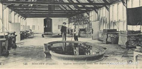 Scrol Scientific Research On Line Scientific Research On Line