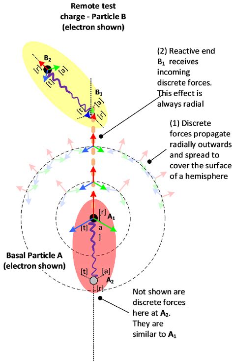 The Electrostatic Interaction Arises From The Direct Linear Action Of
