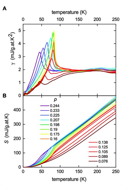 A Measured Electronic Specific Heat Coefficient γ For Y 08 Ca 02