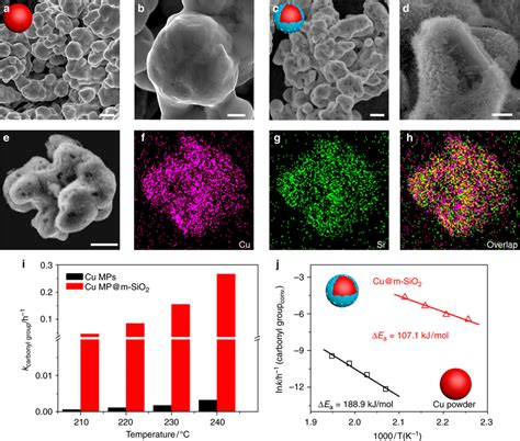 Demonstration Of Cu O Siox Interface Effect In Dmo Hydrogenation A D Download Scientific