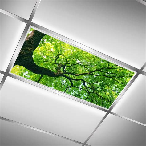 Overhead Light Covers For Classrooms