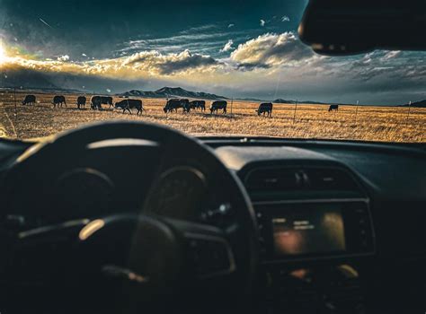 Eric Leopardi Ericleopardi • Instagram Photos And Videos