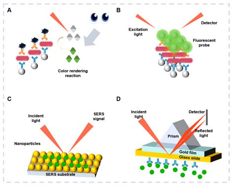Research Progress On Multiplexed Pathogen Detection Using Optical