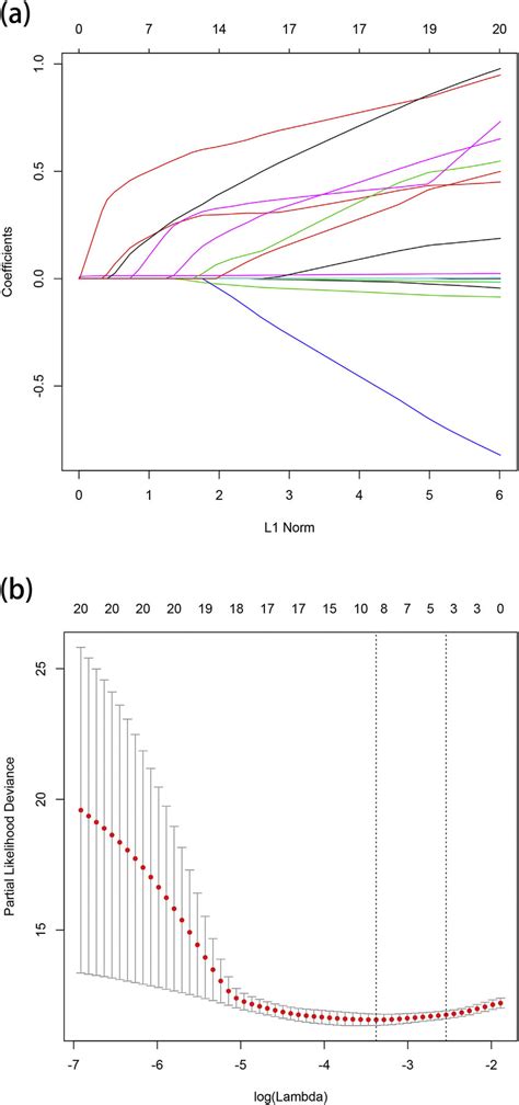 Feature Selection Using The Least Absolute Shrinkage And Selection