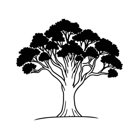 Stylized Tasmanian Myrtle Tree Artwork 57957128 Vector Art At Vecteezy