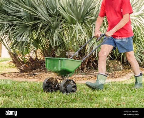 Man Fertilizing And Seeding Residential Lawn With Manual Grass Seed