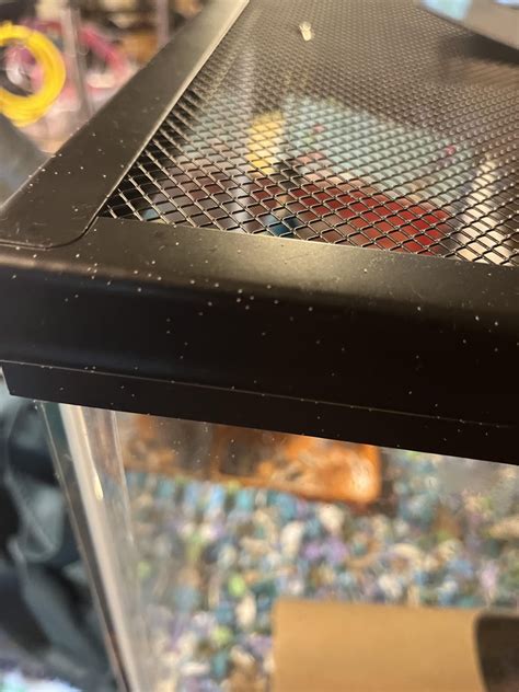 The Tiniest Of Bugs Mites Rhamsters