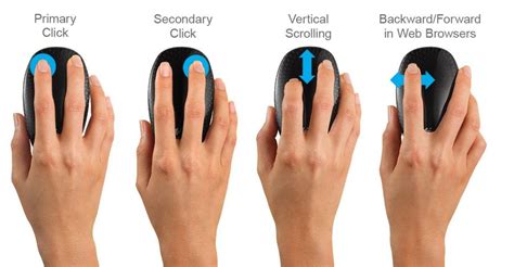 Học Cách Vẽ Con Chuột Máy Tính Dành Cho Người Mới Bắt đầu