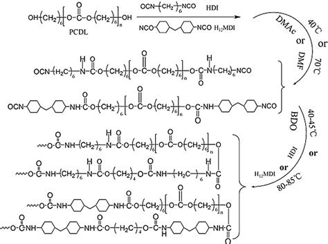 Figure 1 From Synthesis Of Polycarbonate Urethane Elastomers And Effects Of The Chemical