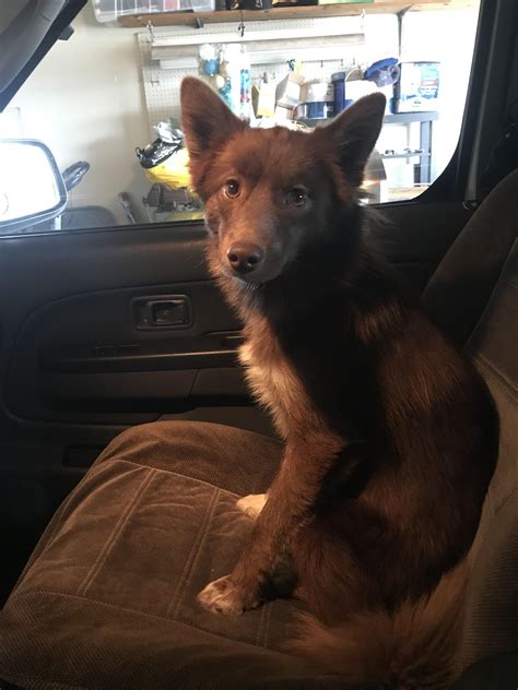 Does She Looks Like An F2 Or F3 I Dont Really Remember What The