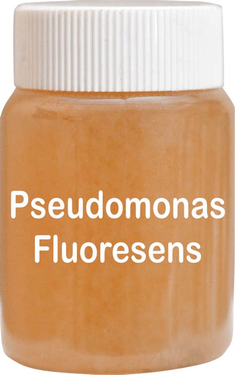 Pseudomonas Technical At Best Price In Ankleshwar Gujarat Anbr