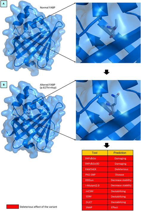 Various Bioinformatics Tools Were Employed To Conduct In Silico Download Scientific Diagram