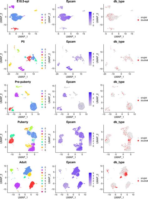 Unraveling The Timeline Of Gene Expression A Pseudotemporal Trajectory Analysis Of Single Cell