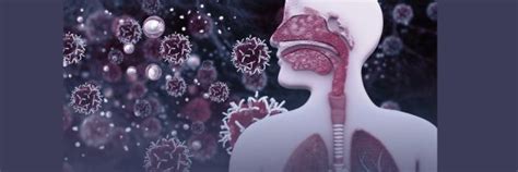 Upper Respiratory Infection Symptoms Treatment And Causes