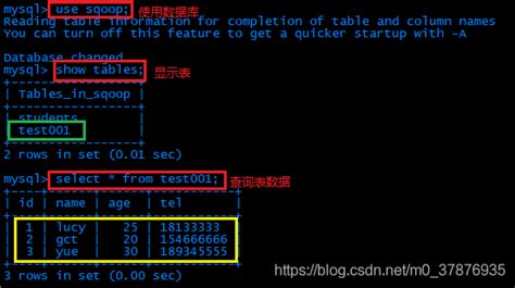 etl工具sqoop使用 etl spoot csdn博客