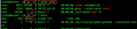 centos7学习 19 进程管理——查看进程信息 centos ps aux csdn博客