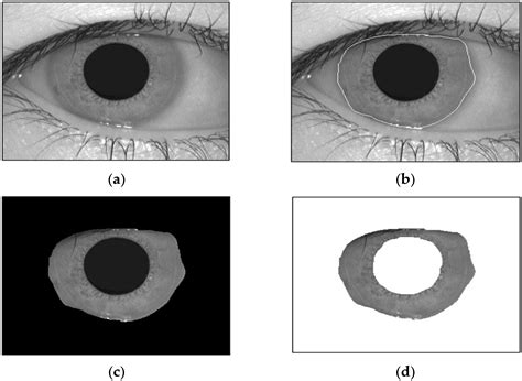 Iris Recognition System Using Advanced Segmentation Techniques And Fuzzy Clustering Methods For