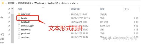 windows 10电脑 notion打不开修复办法 知乎