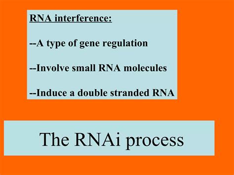 Rna Interference Ppt