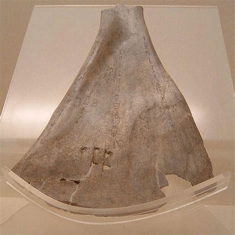 2 Oracle Bone At Shanghai Museum Photo Herr