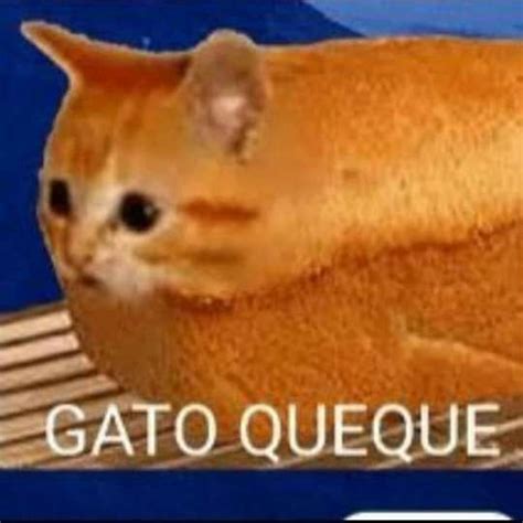 Imágenes Curseadas Y Memes Pendejos De Mi Galería 20